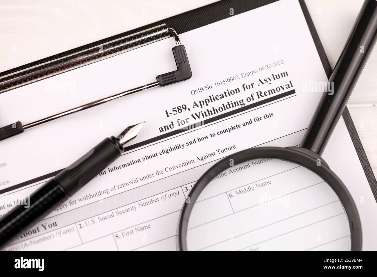 I-589 Application for asylum and for withholding of removal blank form ...