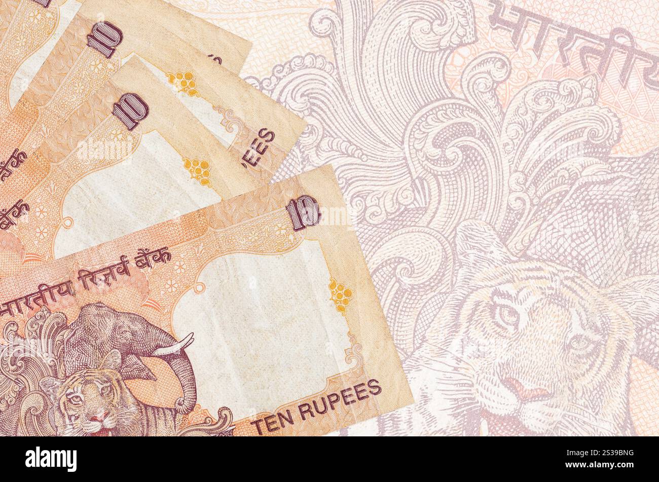 10 Indian rupees bills lies in stack on background of big semi ...