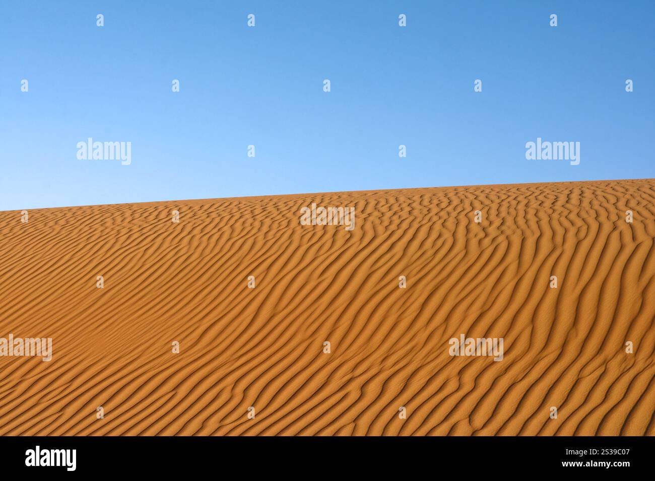 Sunset over the desert of Al Khatim in Abu Dhabi, Emirates. Golden Sand ...