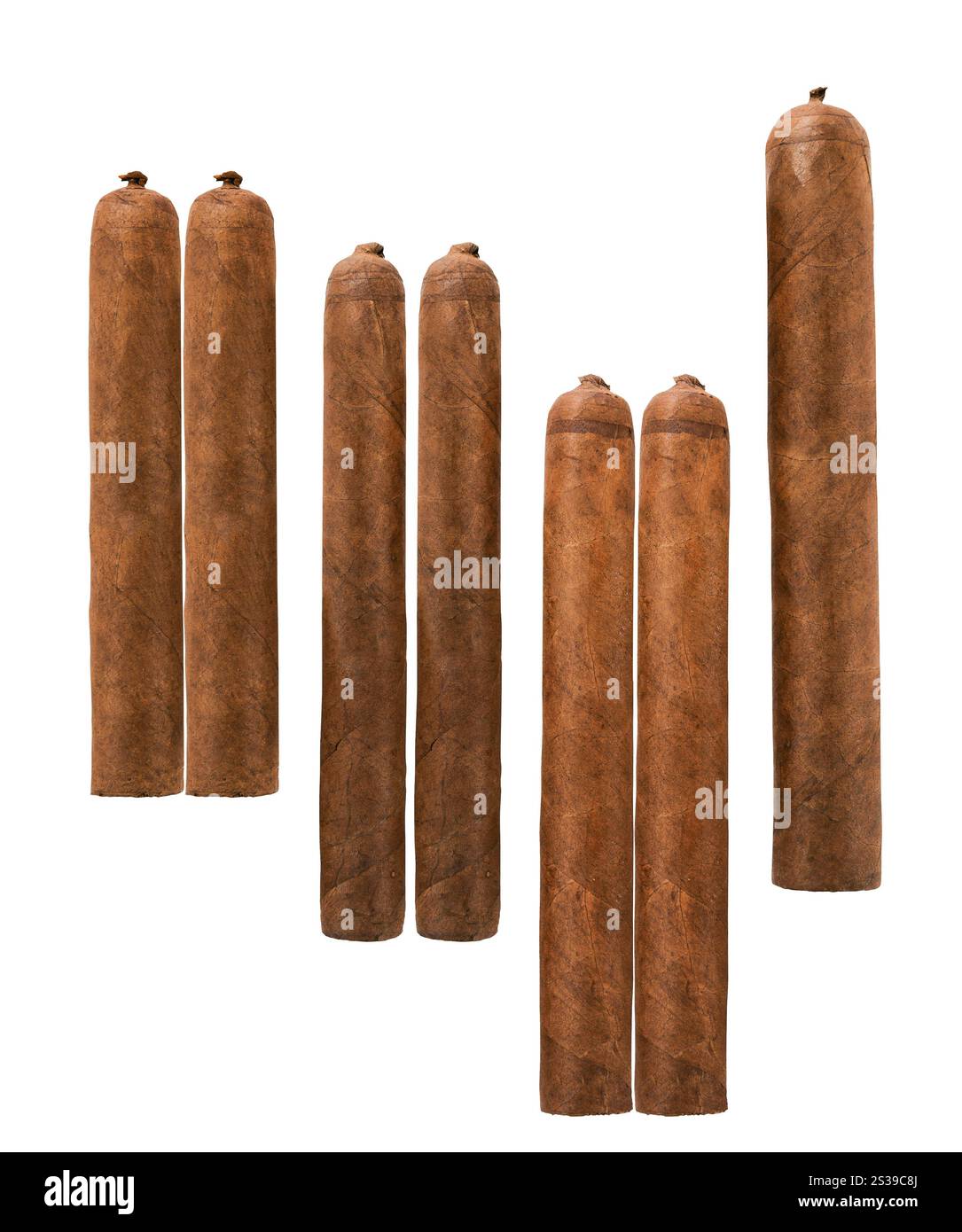 isolated cigars all sizes isolated on a white background. cigars all ...