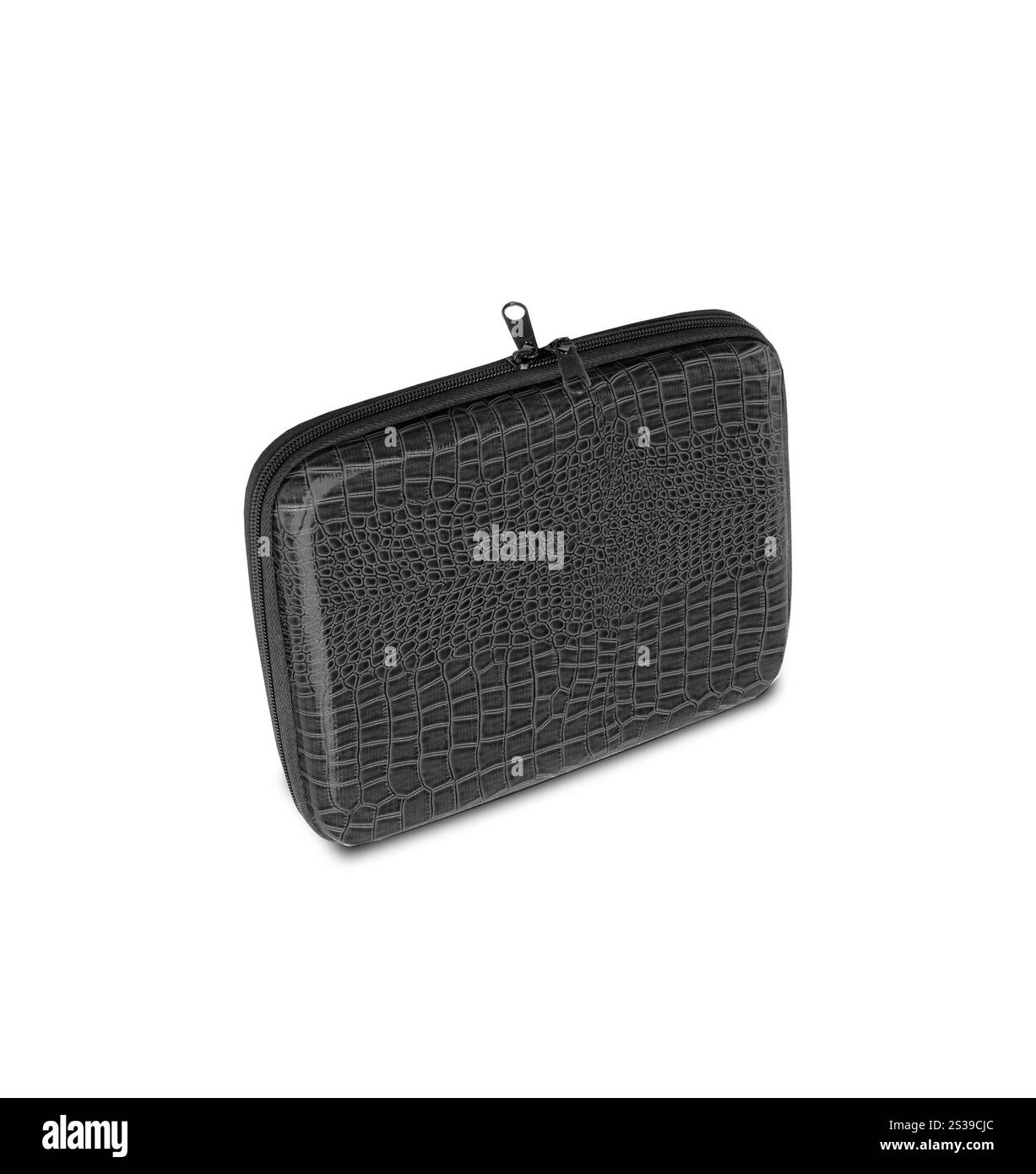 expensive case isolated on white. green expensive case isolated on ...