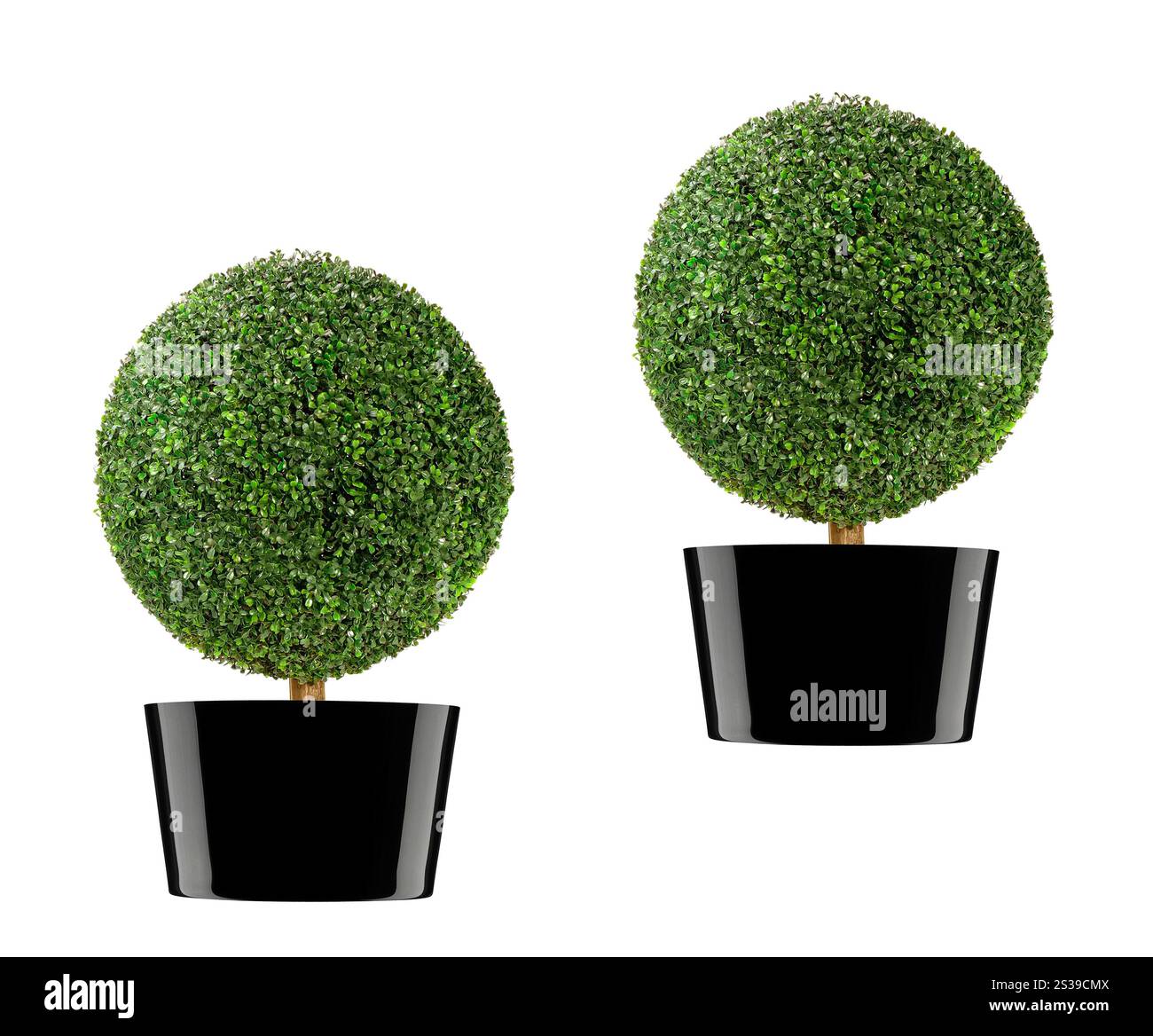 Bush sculpture Cut Out Stock Images & Pictures - Alamy