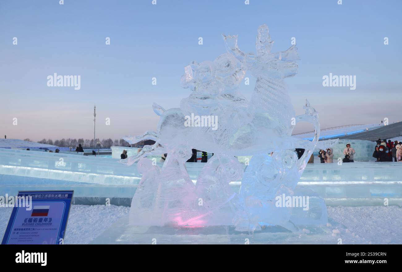 Ice sculpture works in Harbin City, northeast China's Heilongjiang ...