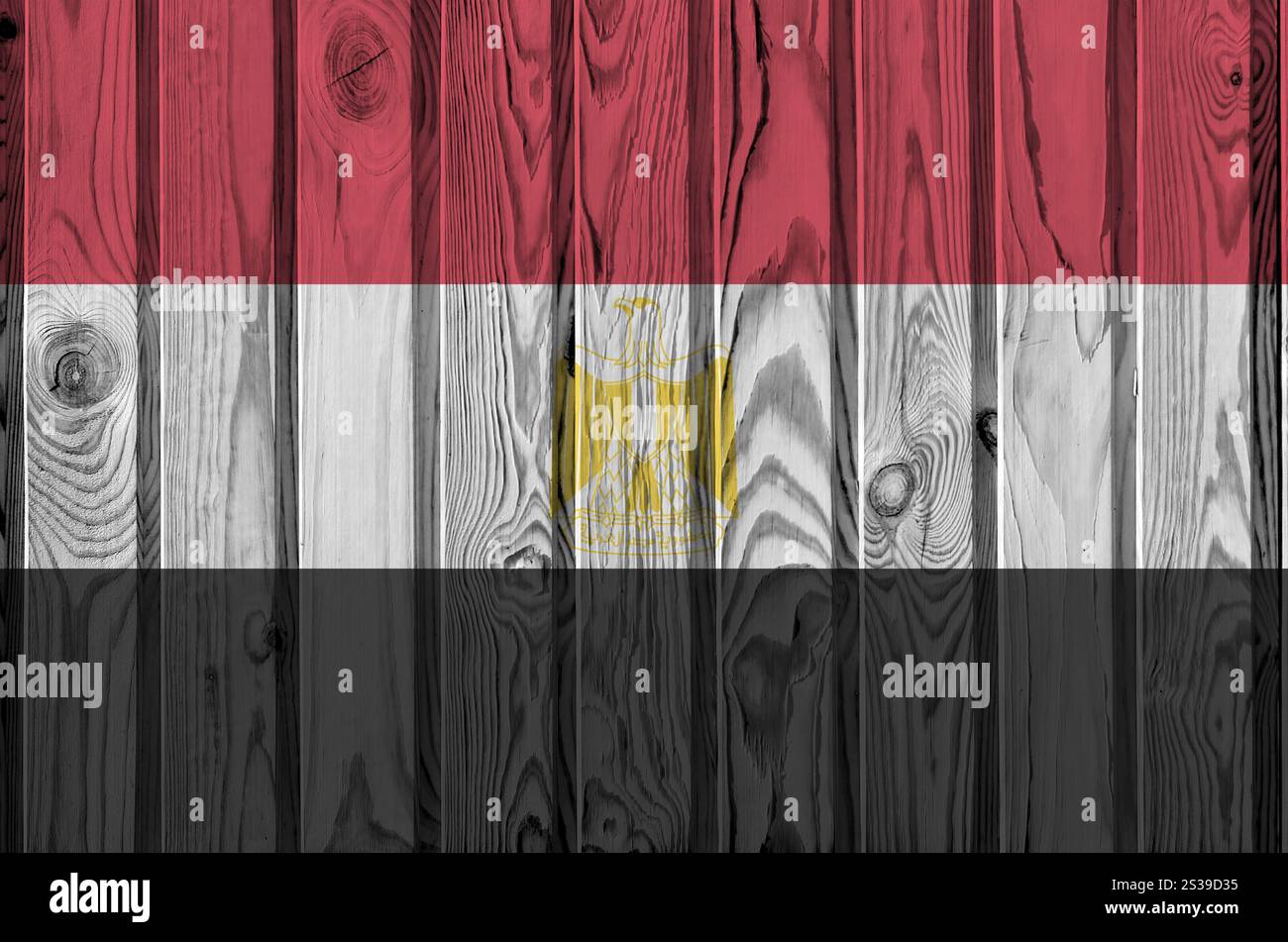 Egypt flag depicted in bright paint colors on old wooden wall close up ...