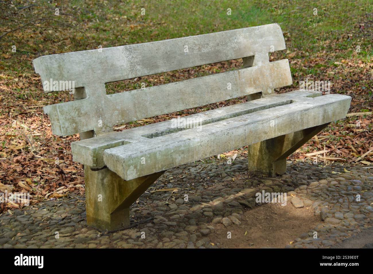 White concrete bench in the national park. Bench under the trees in ...
