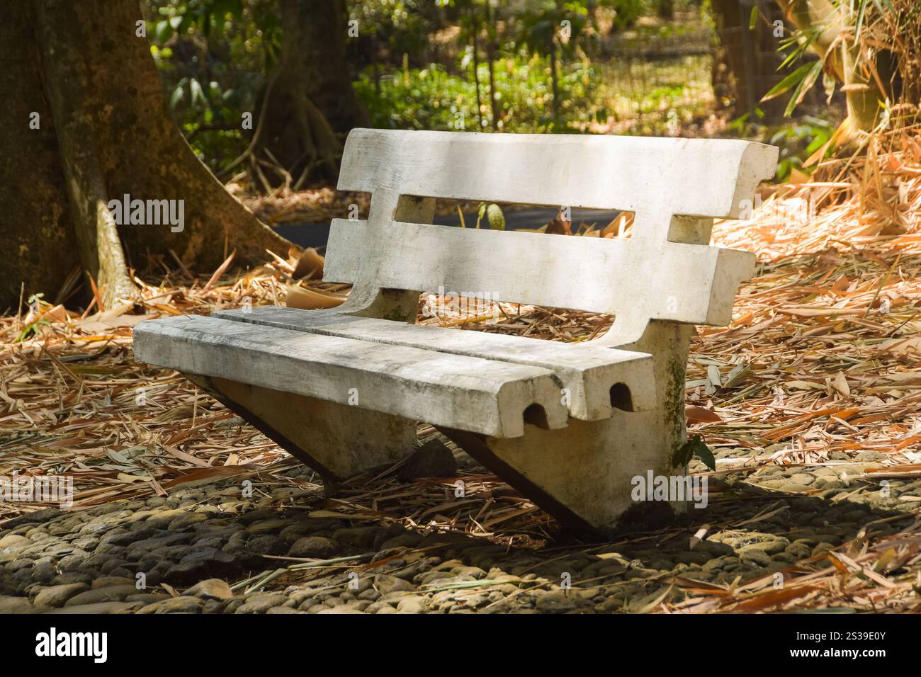 White concrete bench in the national park. Bench under the trees in ...