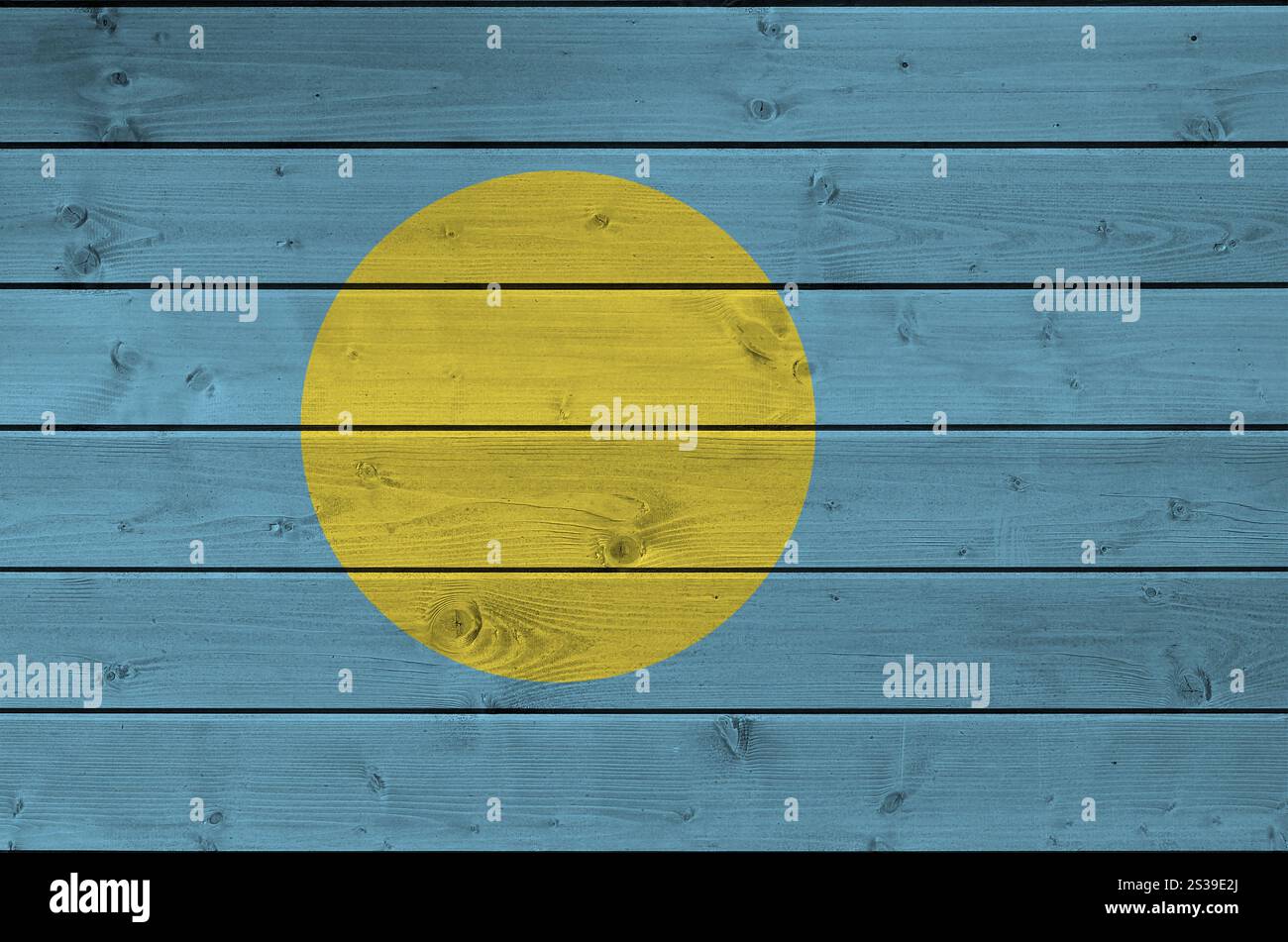 Palau flag depicted in bright paint colors on old wooden wall close up ...