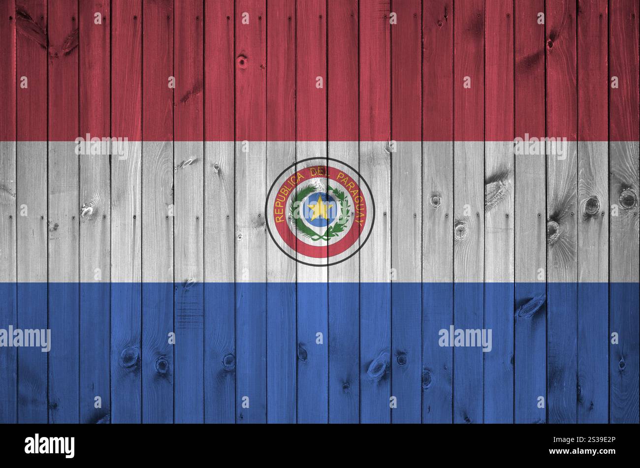 Paraguay flag depicted in bright paint colors on old wooden wall close ...