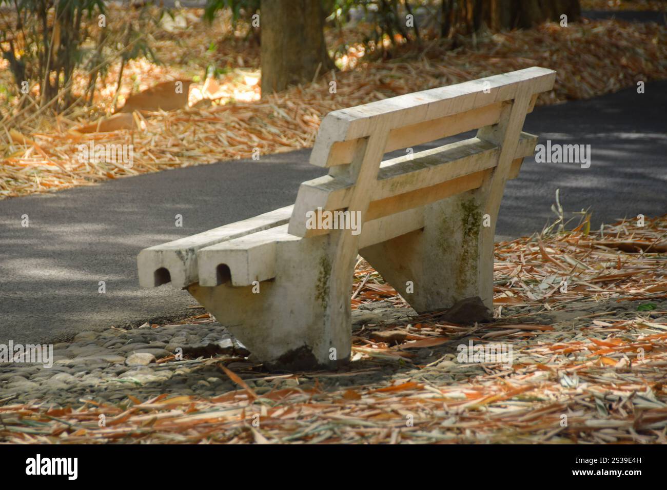 White concrete bench in the national park. Bench under the trees in ...