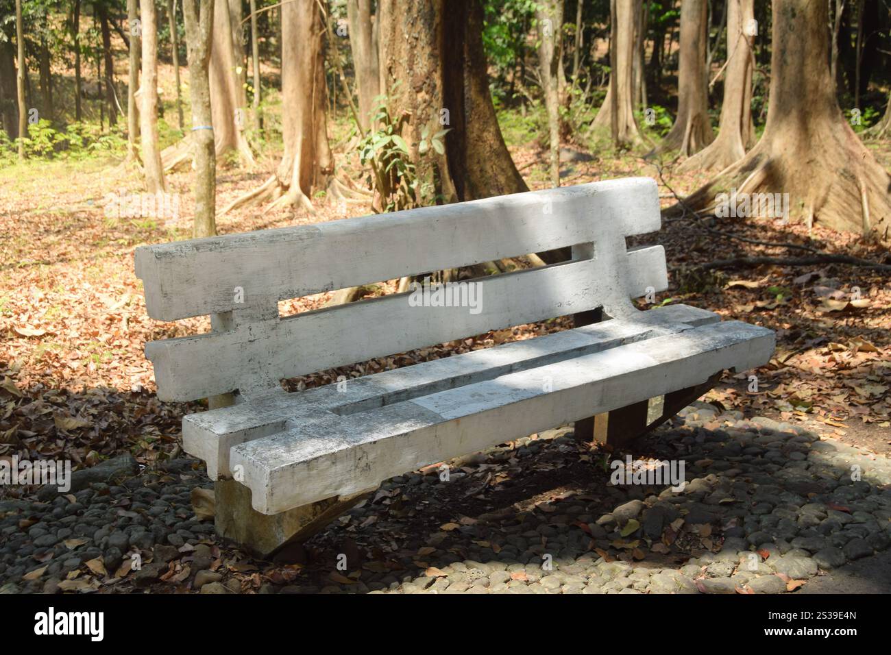 White concrete bench in the national park. Bench under the trees in ...