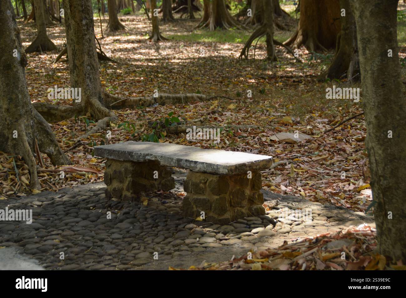 Rock bench in the national park. Bench under the trees in autumn Stock ...
