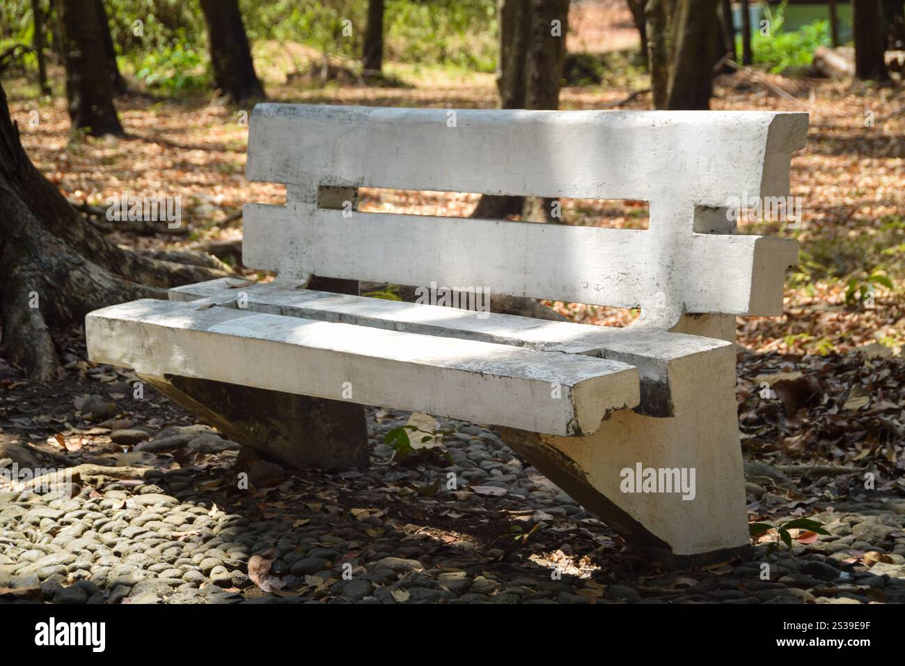 White concrete bench in the national park. Bench under the trees in ...