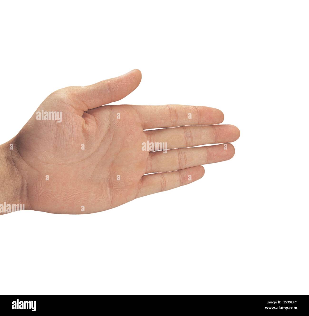 Man hand sign isolated on white background. Man hand sign isolated ...