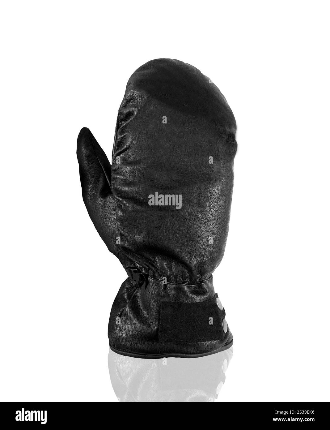 Mitten isolated on white background. Mitten. On a white background ...