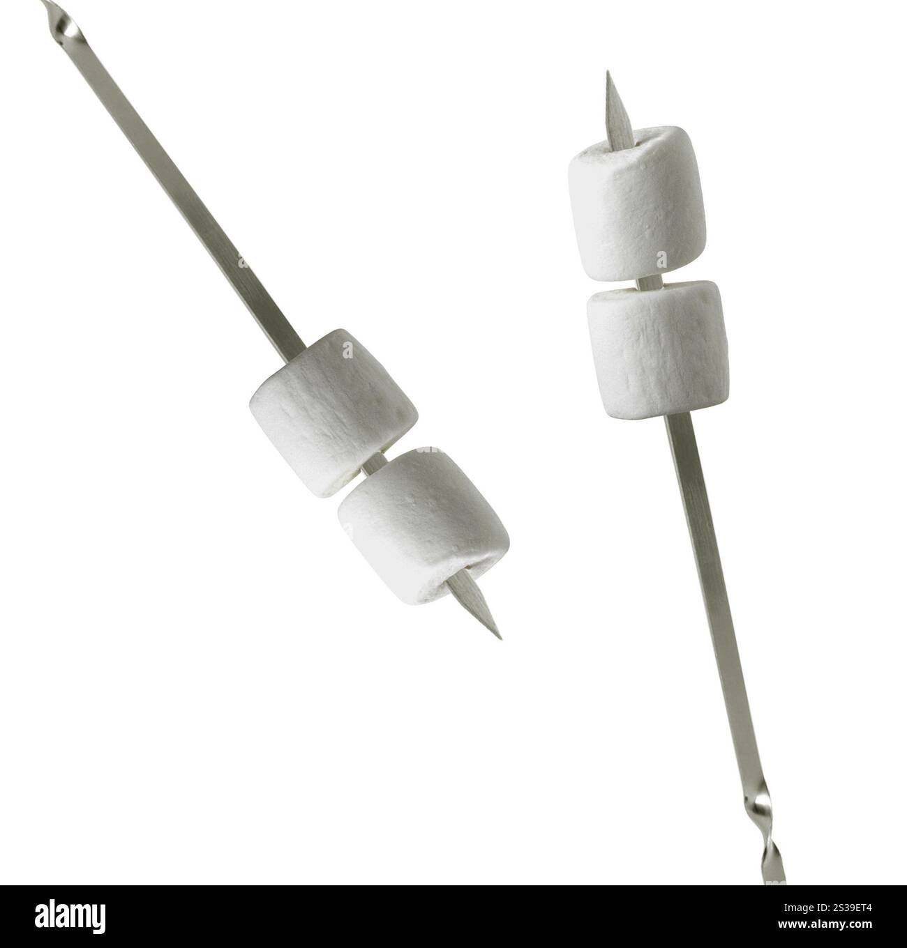 zephyr on spit isolated on white background. zephyr on spit Stock Photo ...