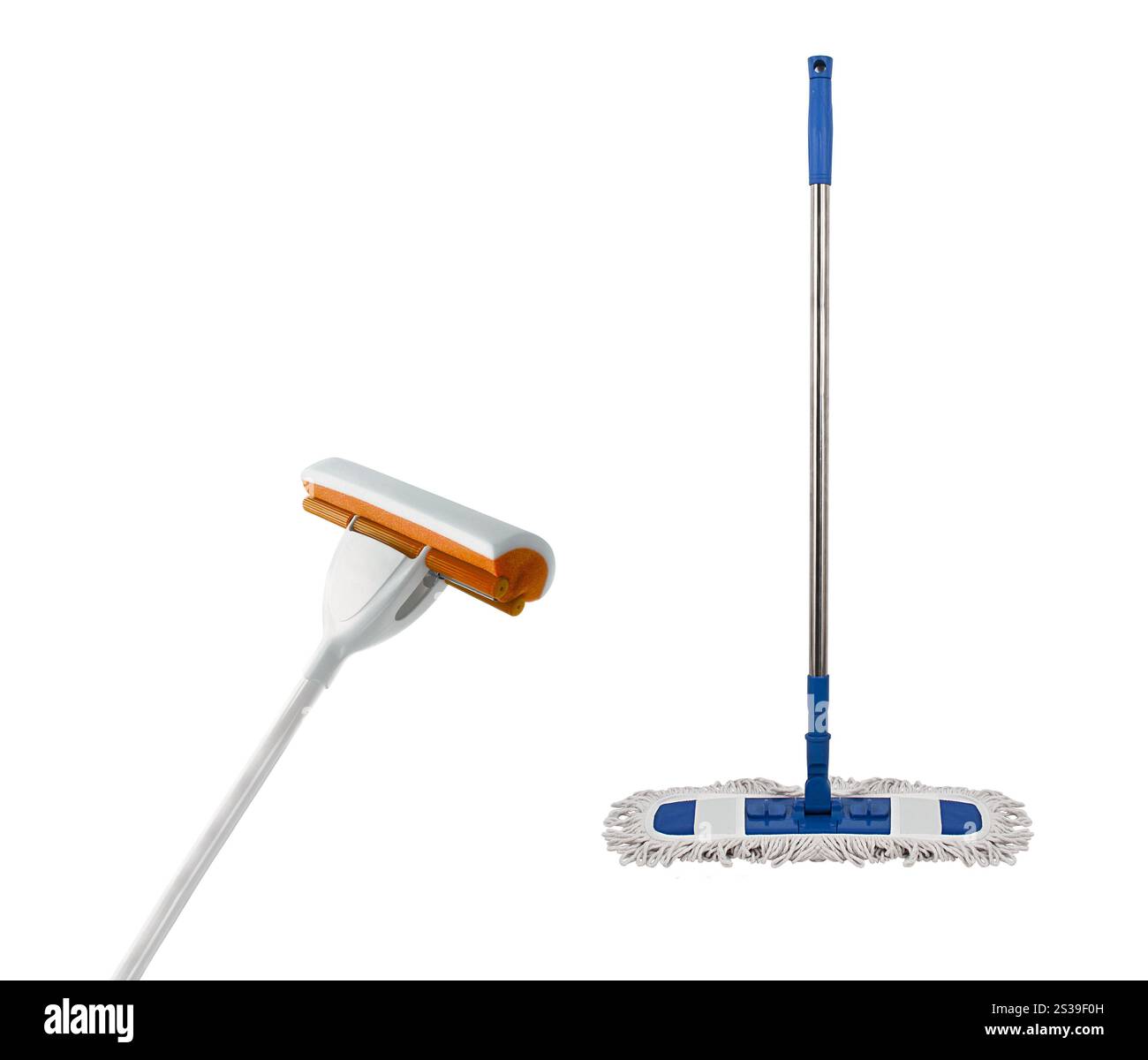 Mops isolated. Mop isolated Stock Photo - Alamy
