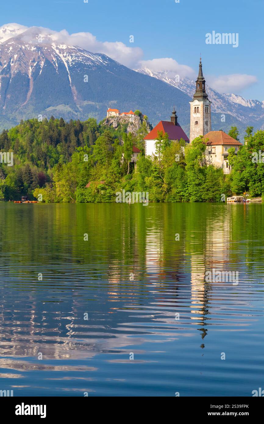 View of Bled church and island on Lake Bled. Bled, Upper Carniola ...