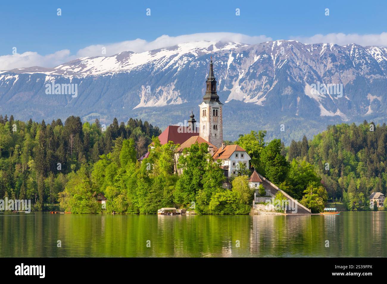 View of Bled church and island on Lake Bled. Bled, Upper Carniola ...
