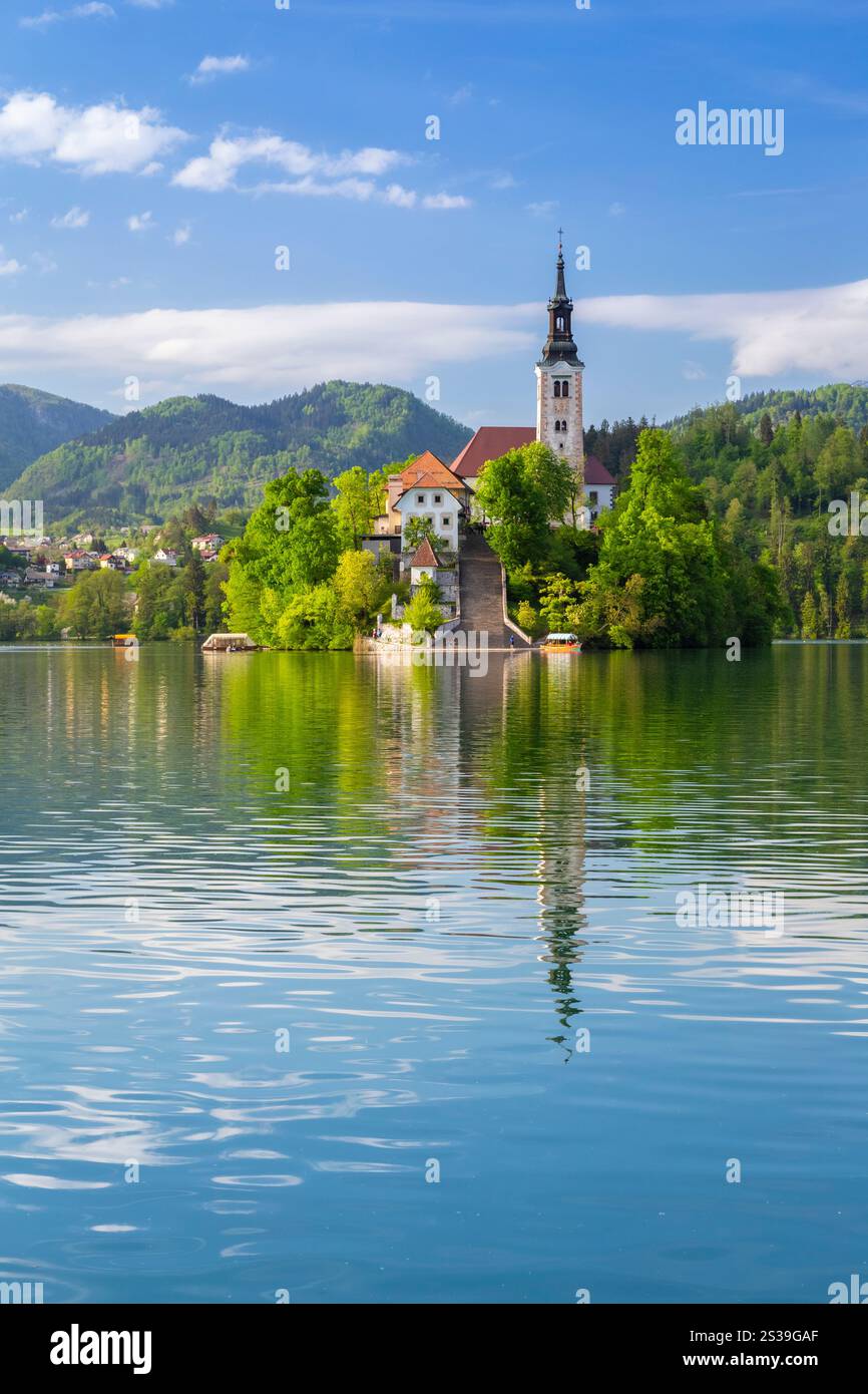 View of Bled church and island on Lake Bled. Bled, Upper Carniola ...