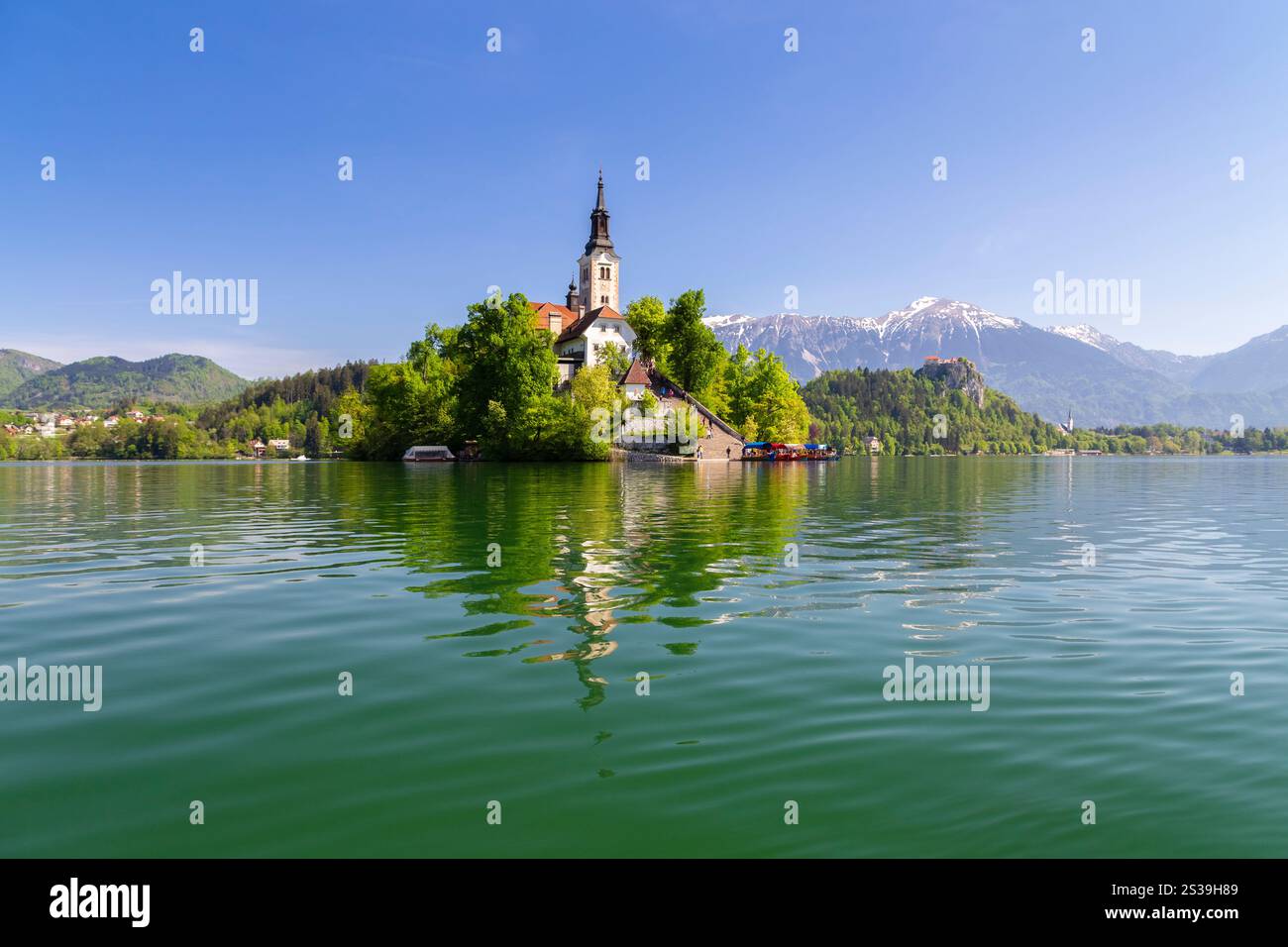 View of Bled church and island on Lake Bled. Bled, Upper Carniola ...