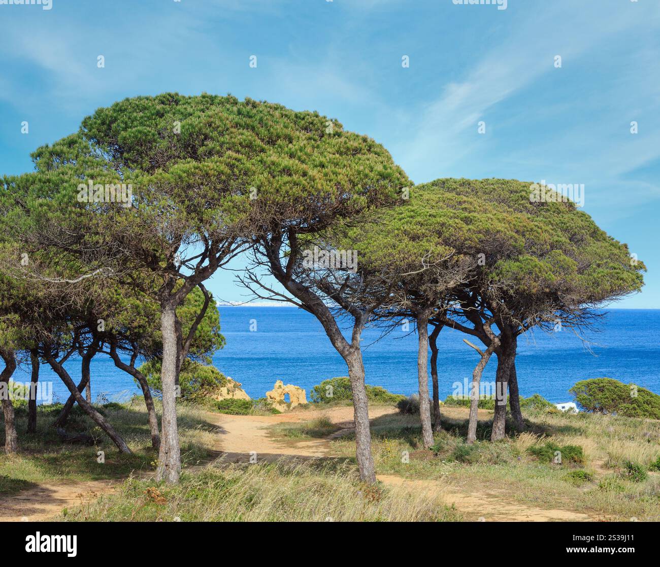 Blue water trees shore hi-res stock photography and images - Alamy