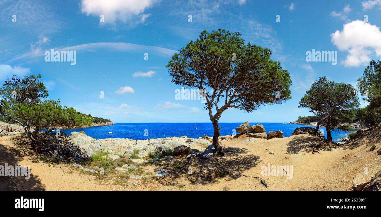 Mediterranean trees hi-res stock photography and images - Alamy