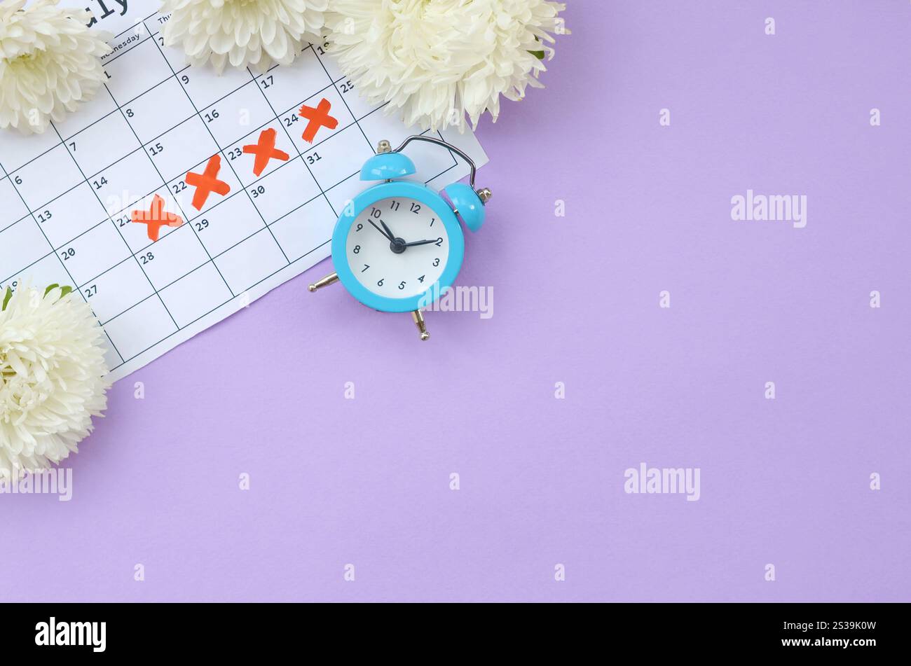Blue alarm clock and white flowers on menstrual period calendar with ...