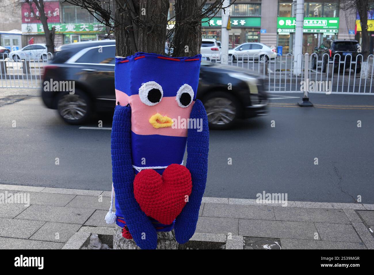 Trees on the street are put on brightly colored "sweaters" for winter ...