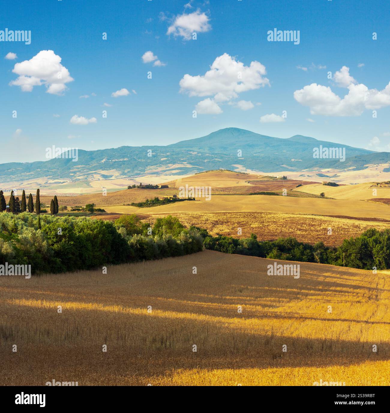 Summer meadow sunrise in hi-res stock photography and images - Alamy