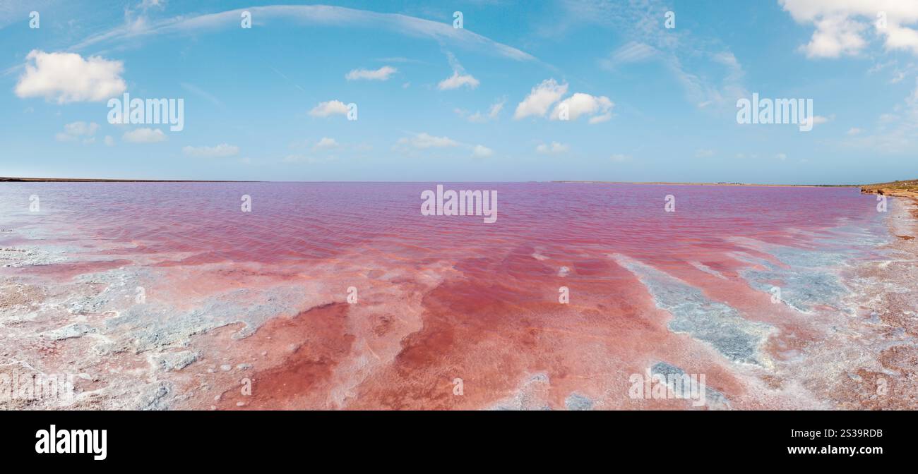 Pink extremely salty Syvash Lake, colored by microalgae with ...