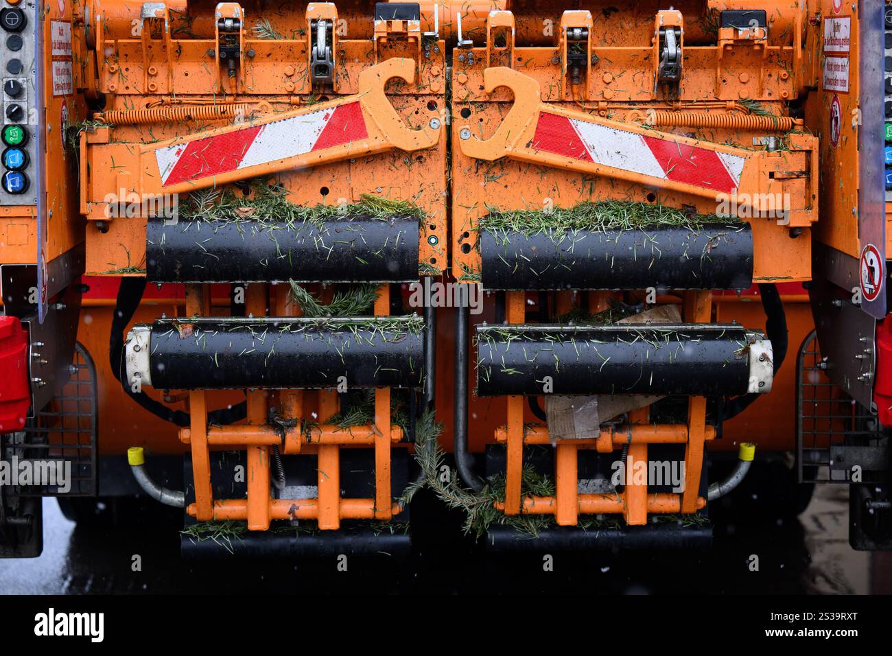 Berlin, Germany. 09th Jan, 2025. Pine needles and branches from ...