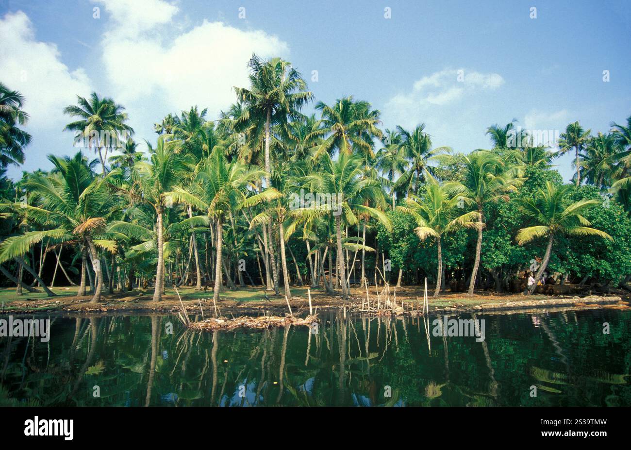 a Canal in the Lagoons and Backwater at the Coast near the city of ...