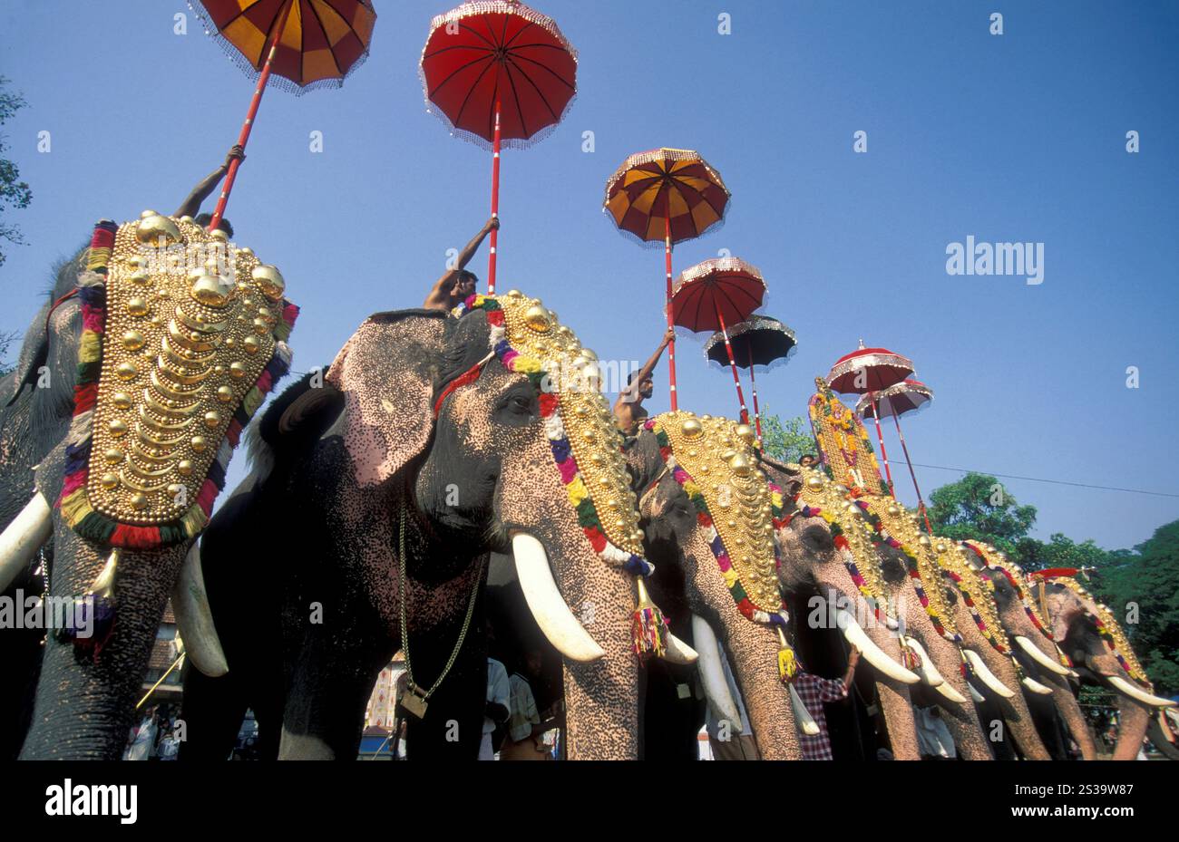 Farmers with their Elephants at the traditional Pooram or Elephant ...