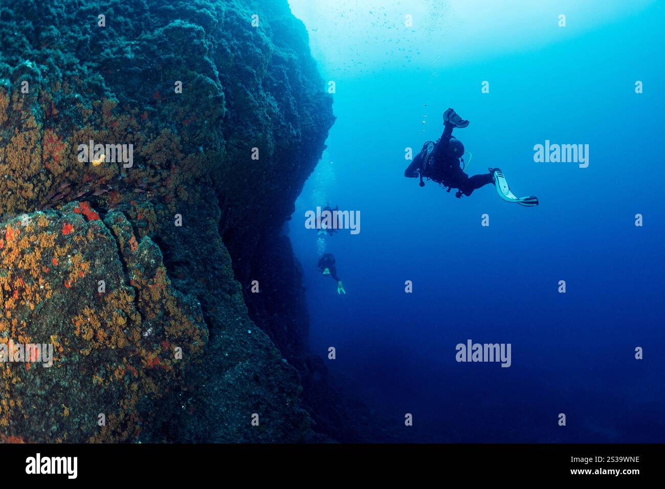 three scuba divers diving near of a rocky wall Stock Photo - Alamy