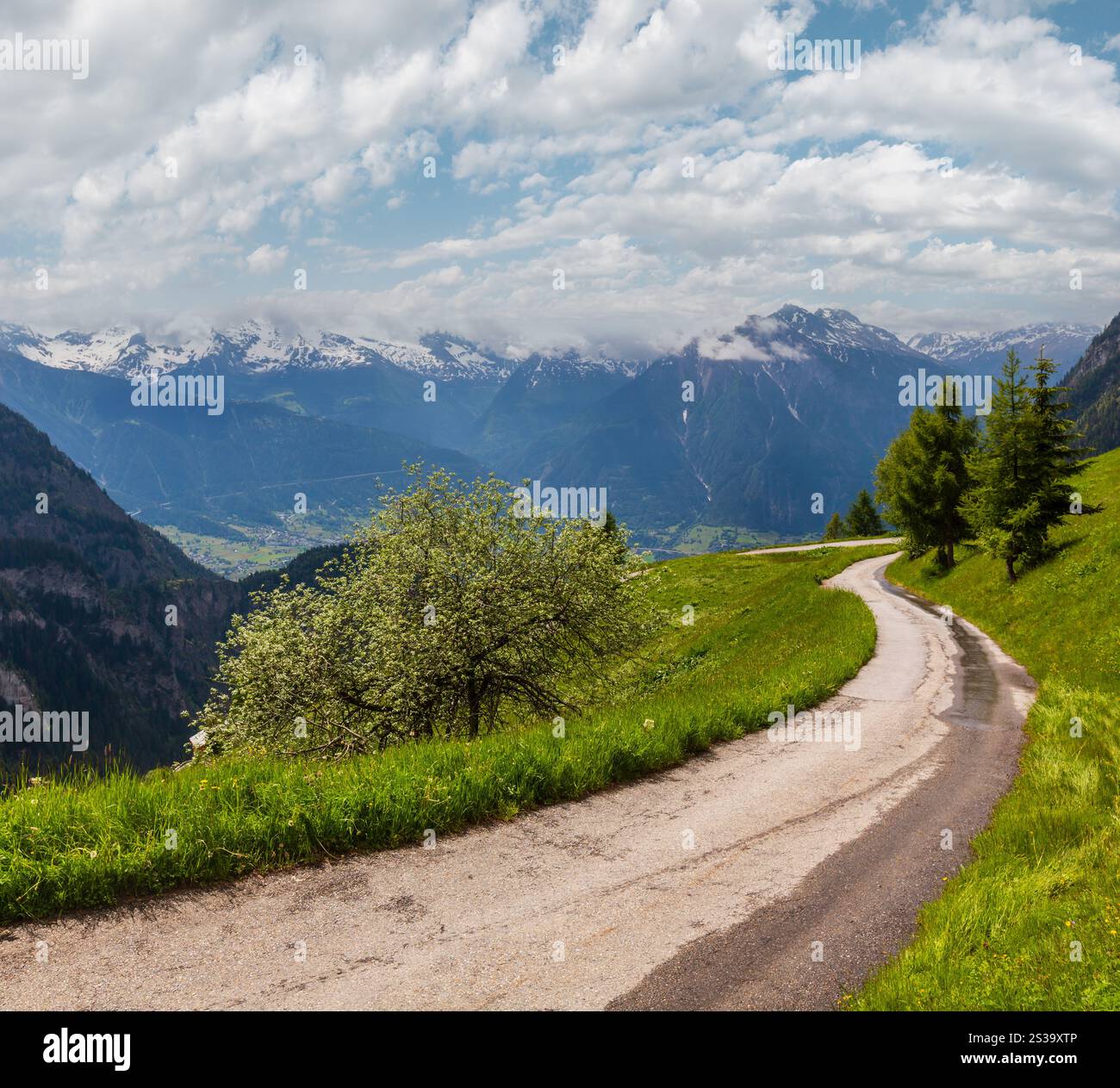 Summer Alps mountain landscape with rural road and wild flowers on ...
