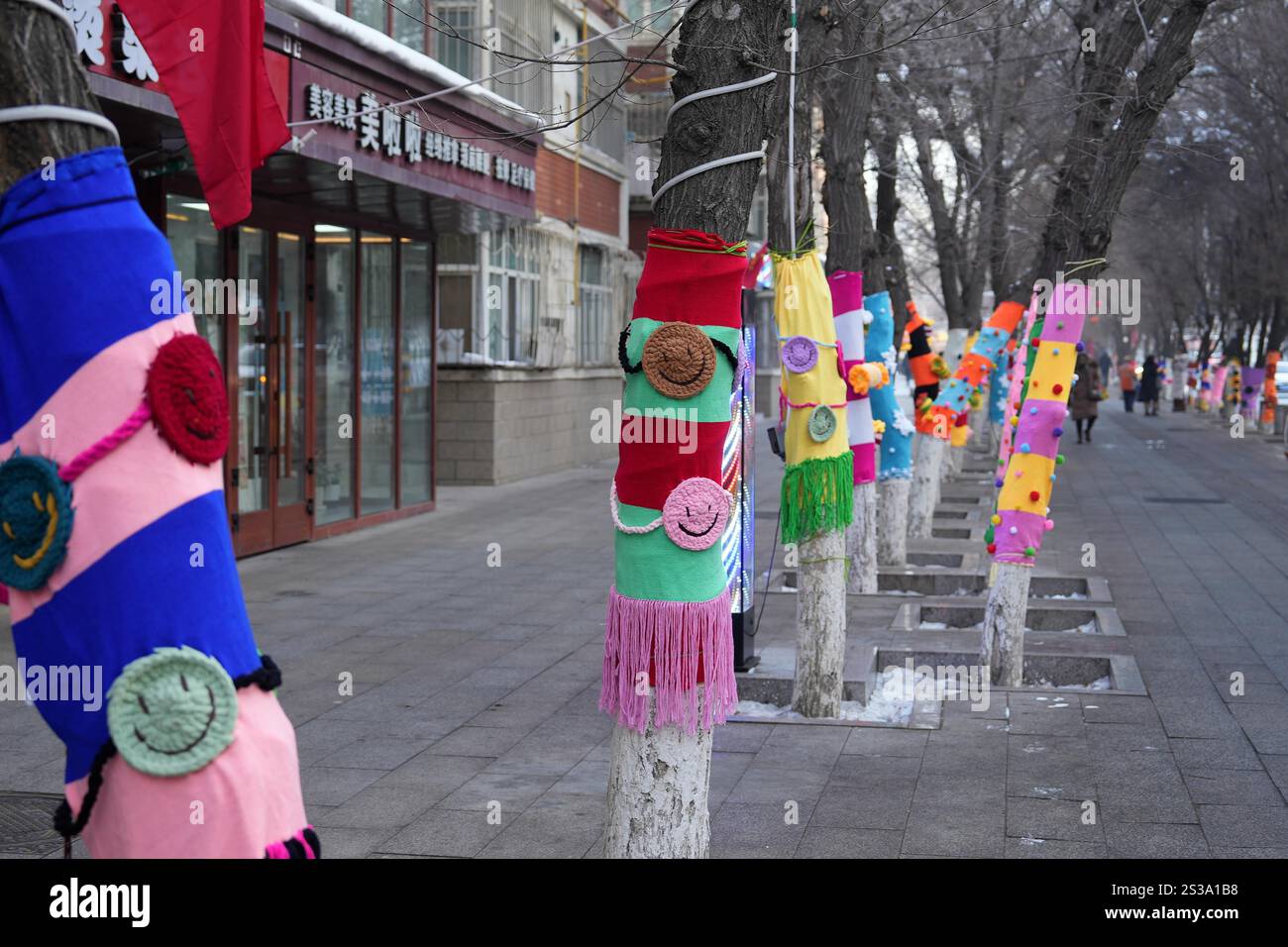 Trees on the street are put on brightly colored "sweaters" for winter ...