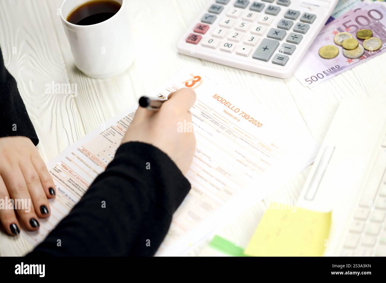 Accountant fill italian tax form Modello 730 individual income tax ...