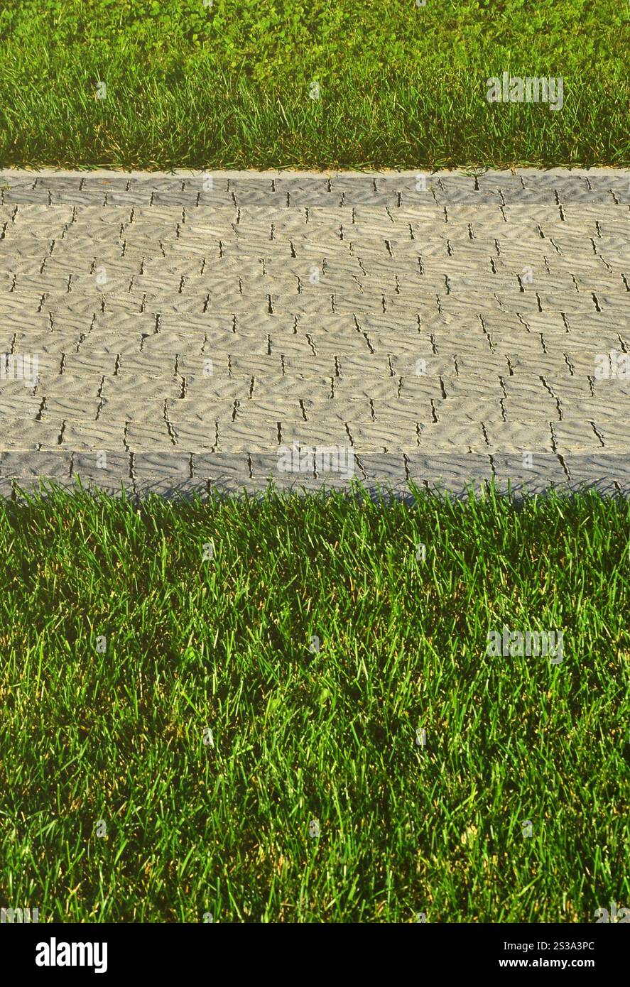A beautiful new walkway made of paving stone is located among the green ...
