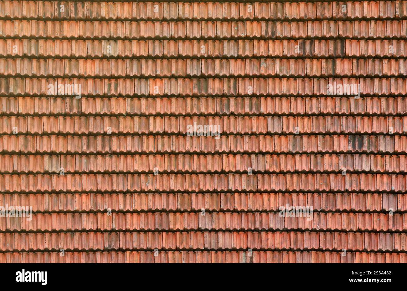 Close up of red terracotta roof shingles with some mildew. Background ...