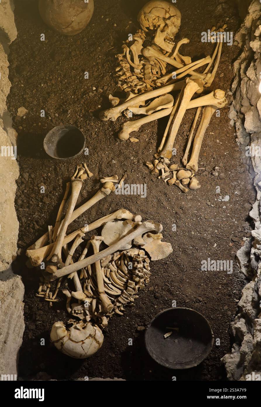 Skull and bones digged from pit in the scary graveyard of prisoners ...
