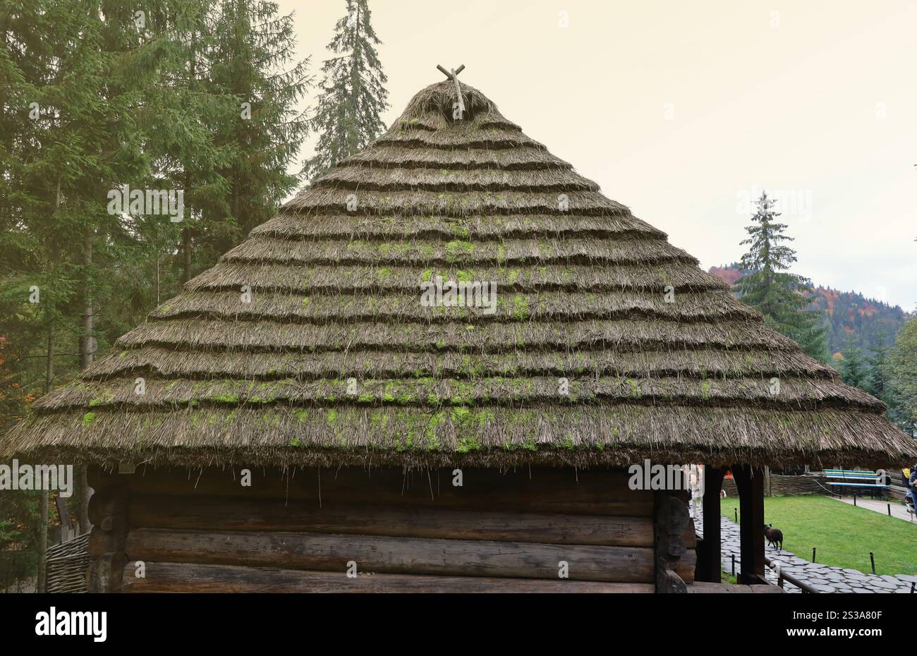 Huge thatched roof of traditional ukrainian house. Straw roof with ...