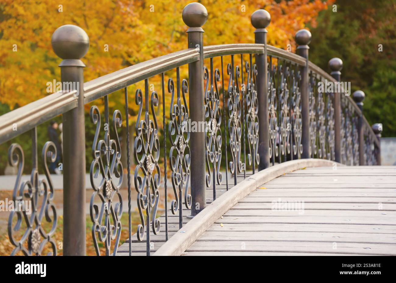 Beautiful Nature Autumn landscape with small bridge. Scenery view on ...