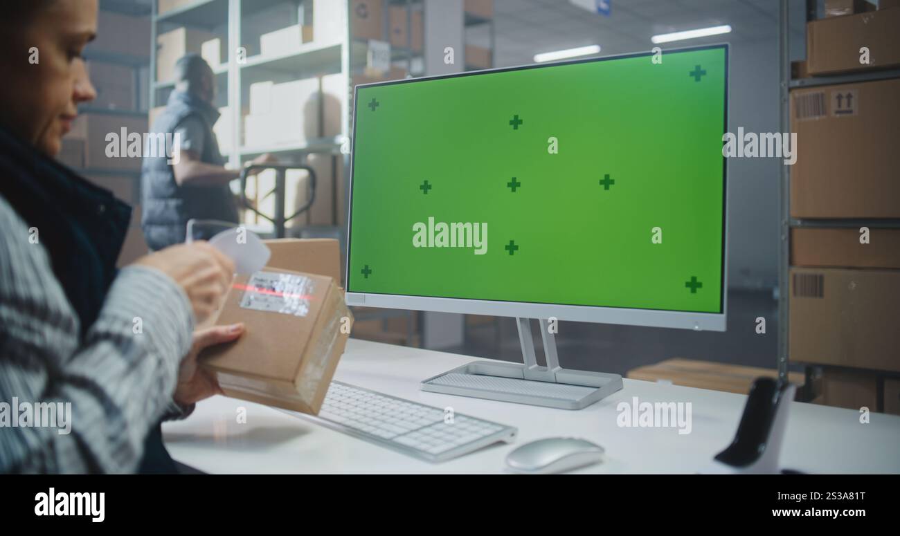 Female Postal Warehouse Worker Scans Code on Cardboard Box with Scanner, Checks Package ...