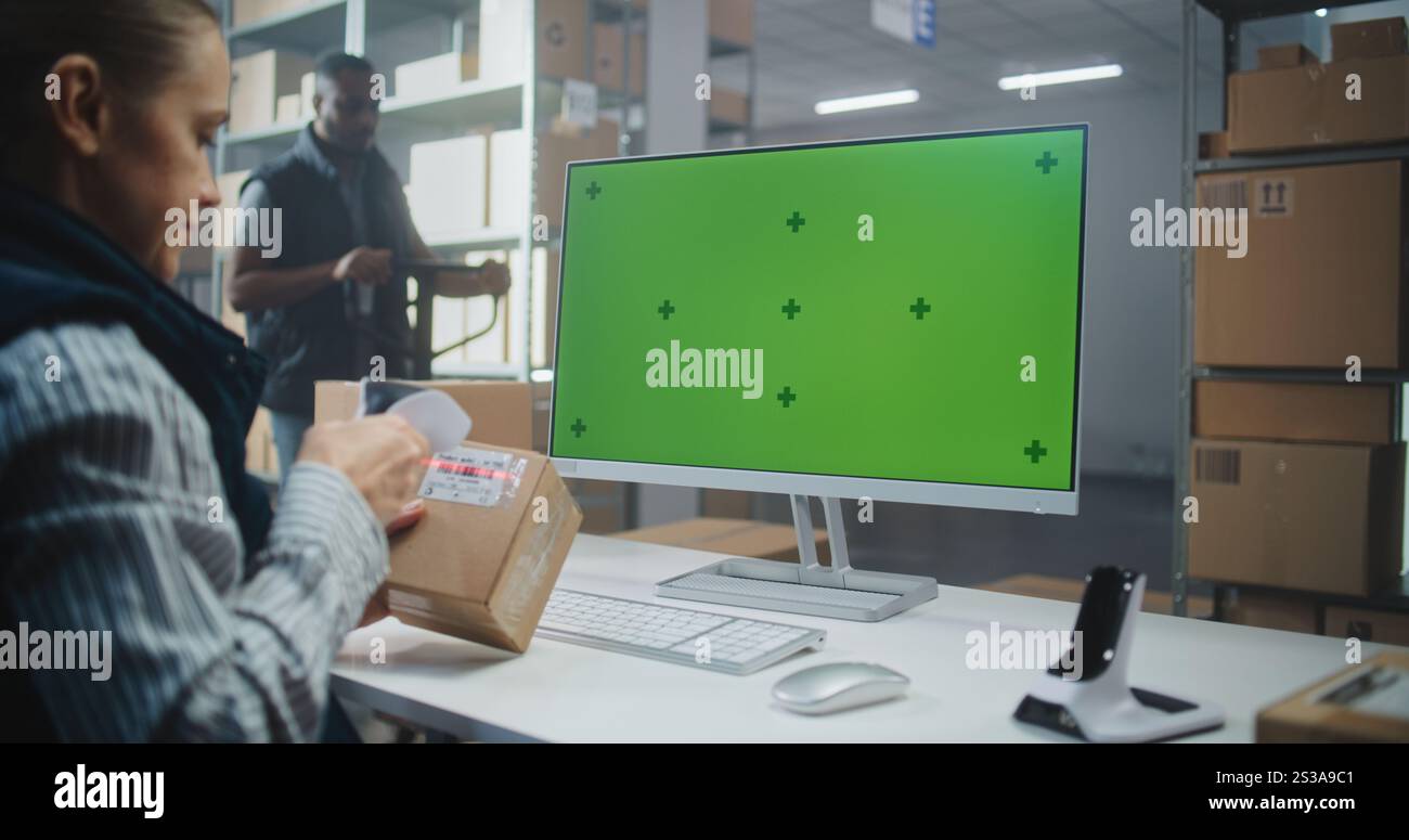 Female Warehouse Logistics Manager Scans Code on Cardboard Box with Scanner, Works on PC in ...