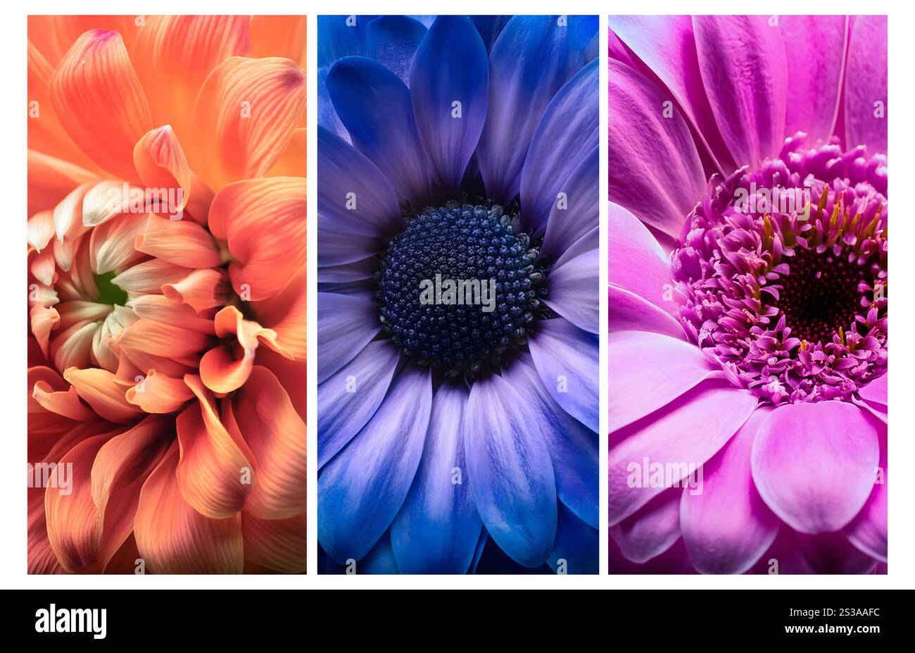 The image depicts three abstract floral paintings. Each painting ...