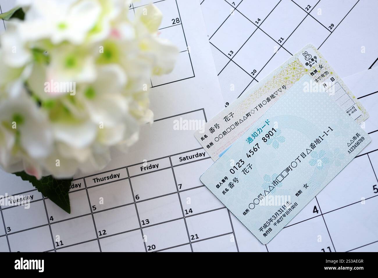 Japanese my number card specimen and notification card on calendar ...