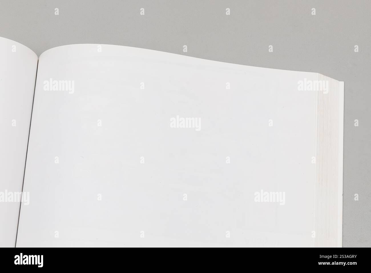Open Book with Blank Pages on a Grey Background. Great for wisom quotes ...