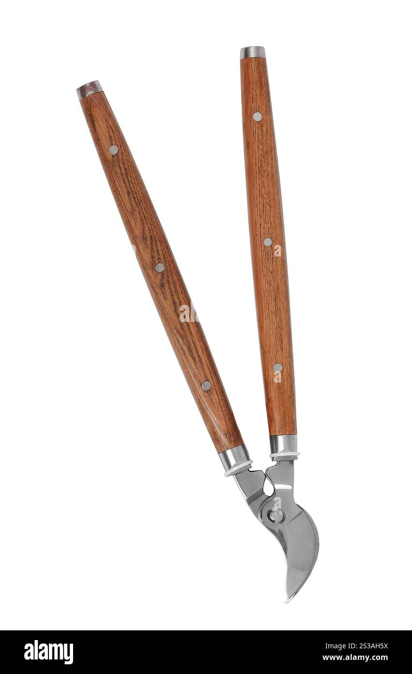 Secateurs isolated on white background. Secateurs Stock Photo - Alamy
