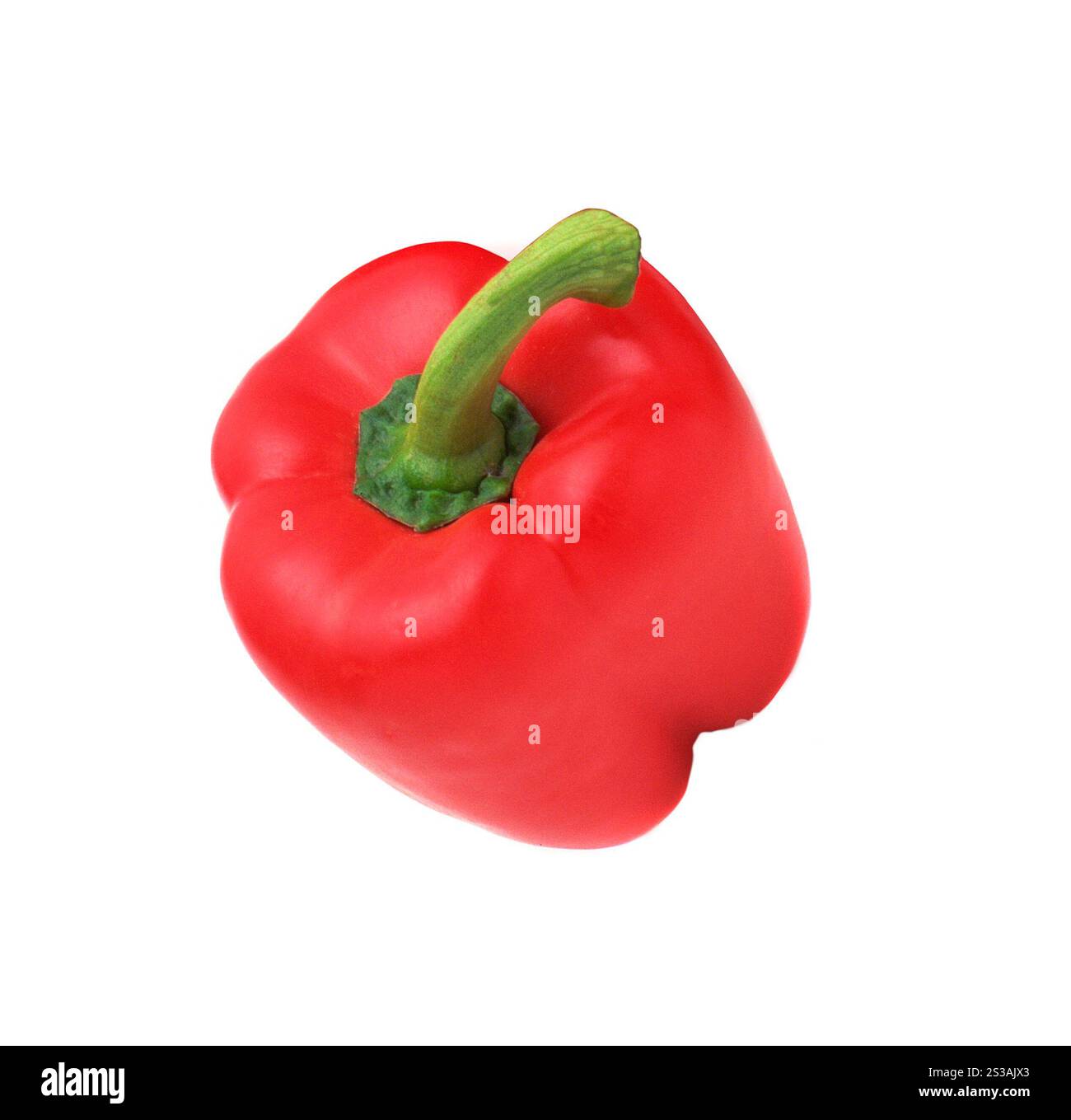 Bell pepper (bulgarian pepper) isolated on white. Bell pepper Stock ...