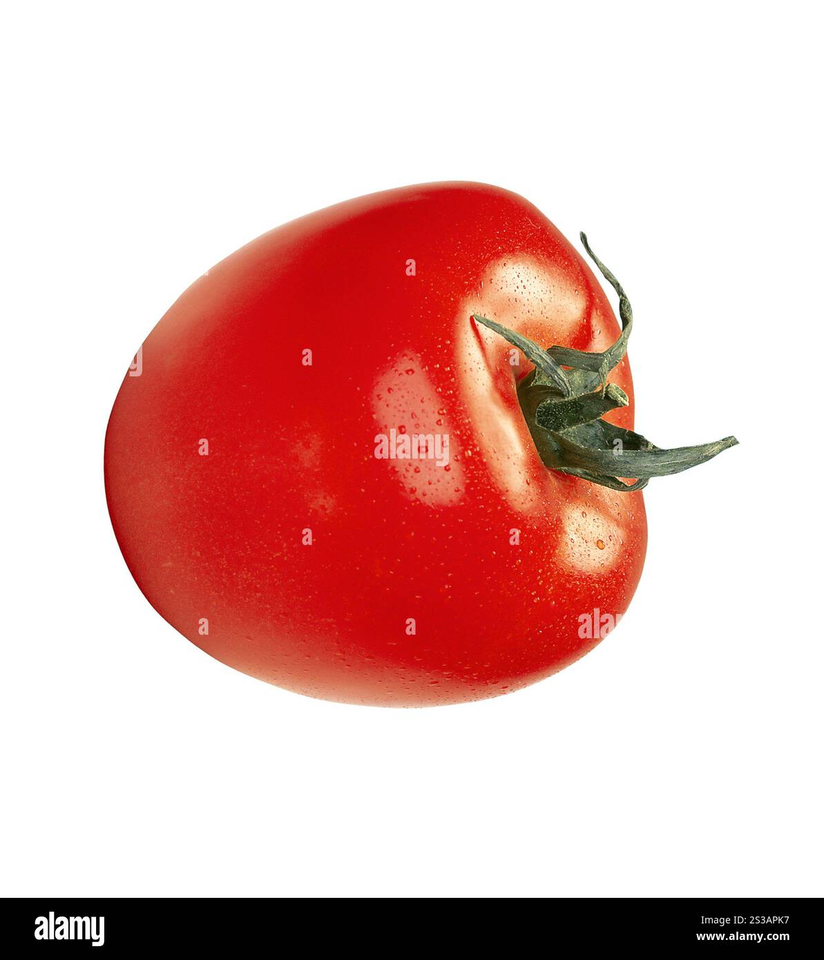 tomato with water drops isolated on white background. tomato with water ...